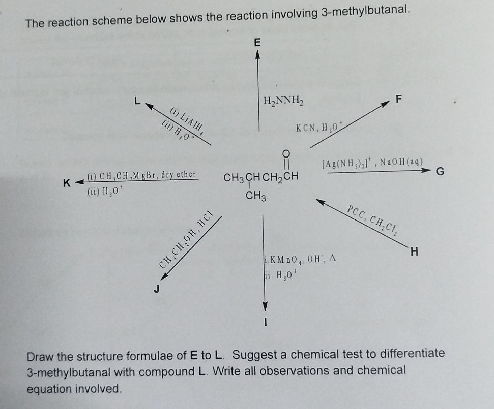The reaction scheme below shows the reaction | StudyX