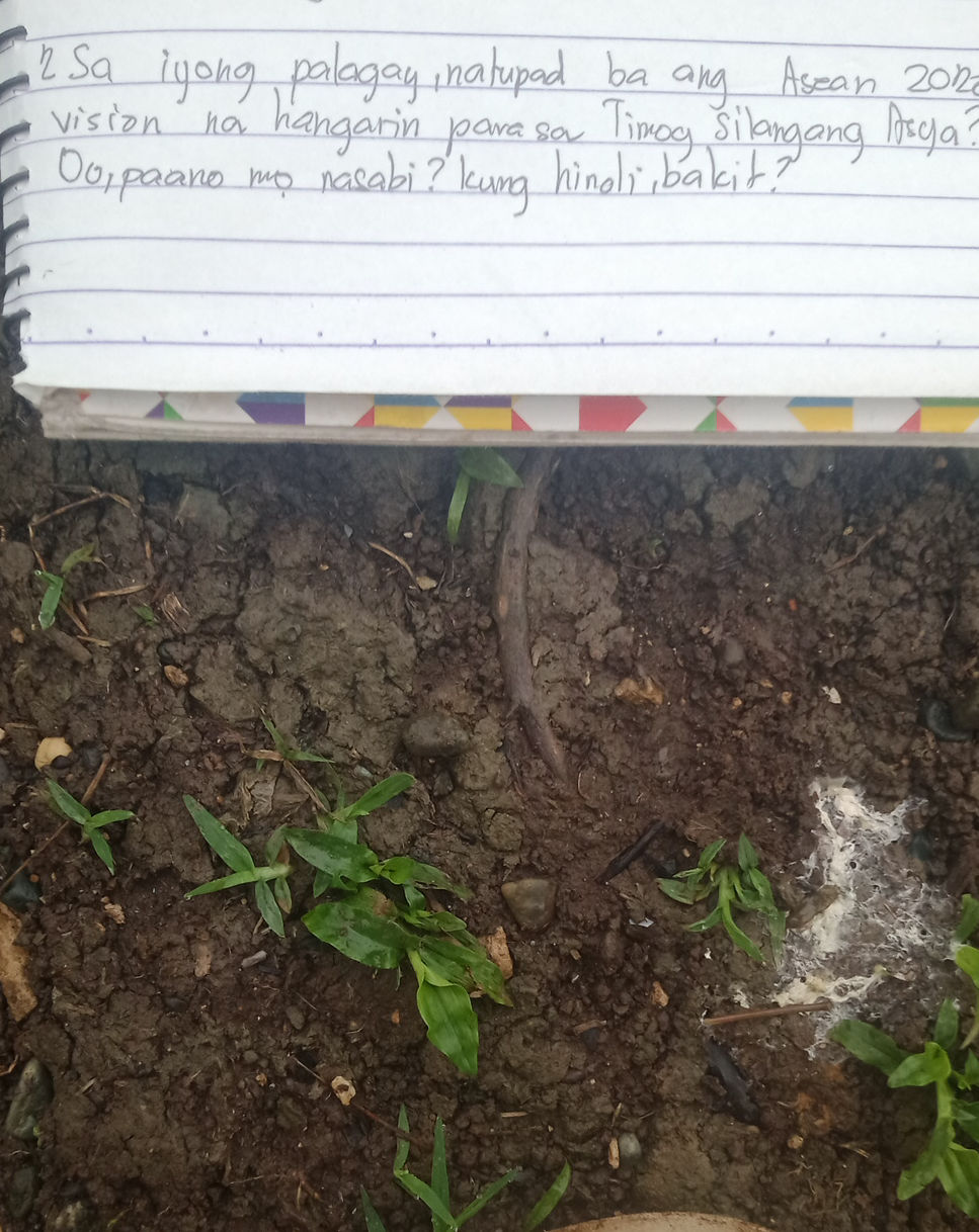 2. Sa iyong palagay, natupad ba ang Asean | StudyX