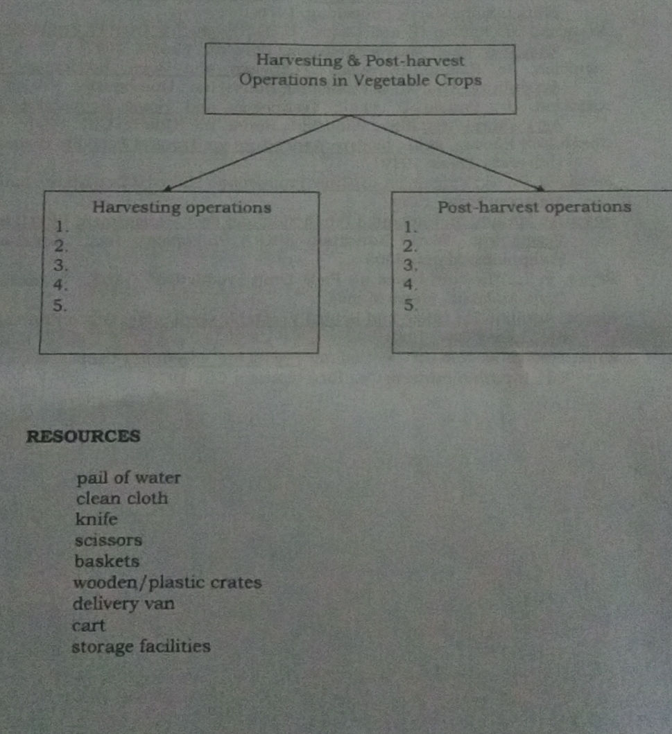 Harvesting Post-harvest Operations in | StudyX