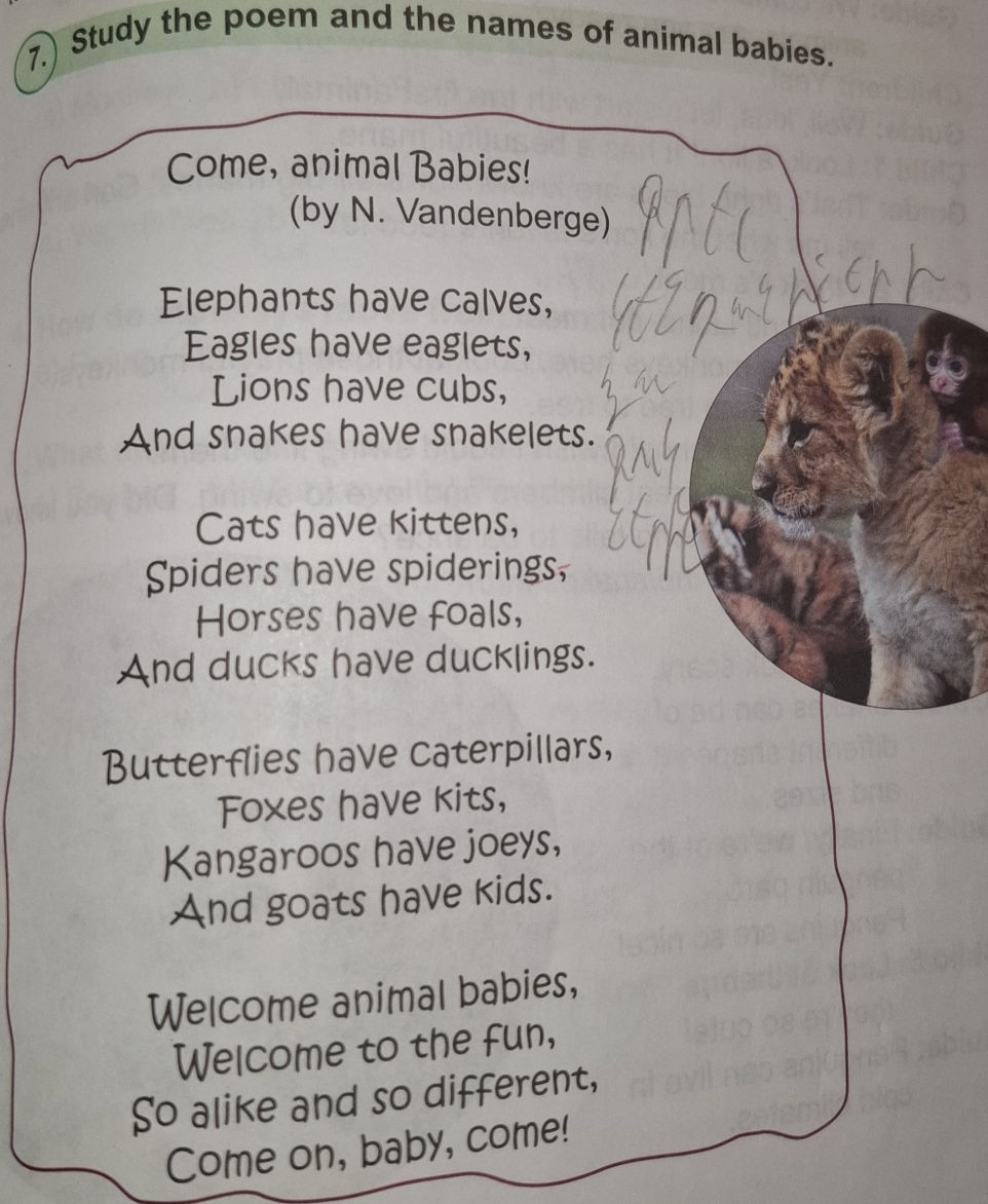 Study the poem and the names of animal | StudyX