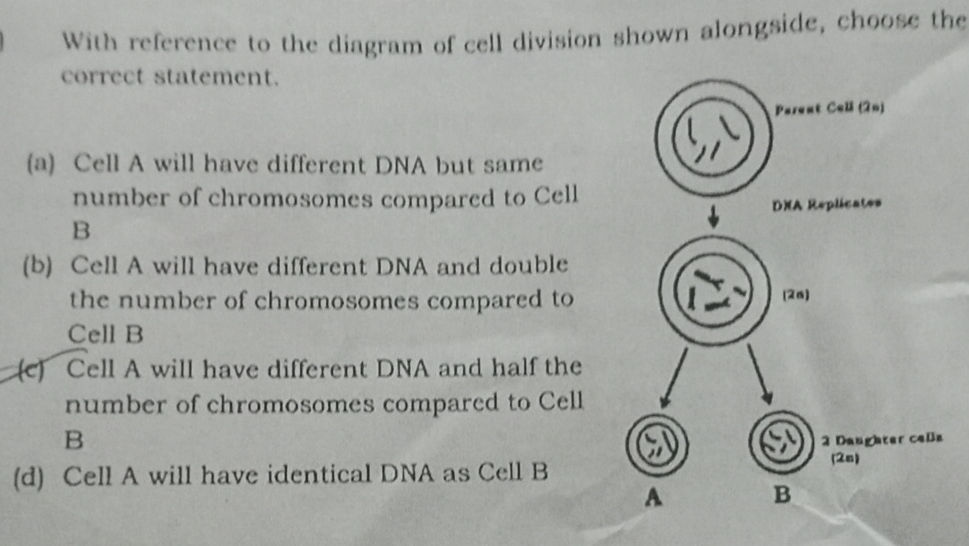 With reference to the diagram of cell | StudyX