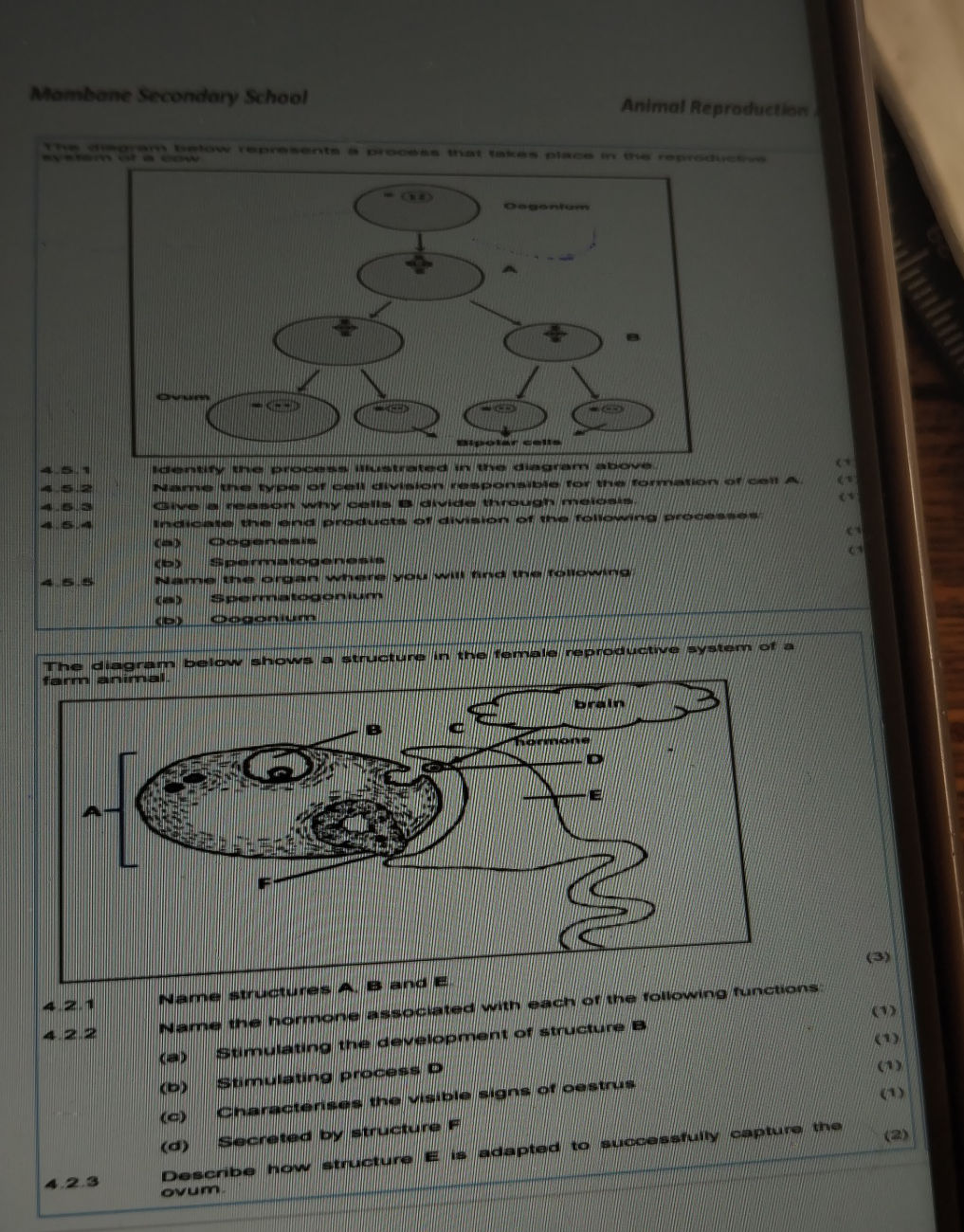 The diagram below represents a process that | StudyX