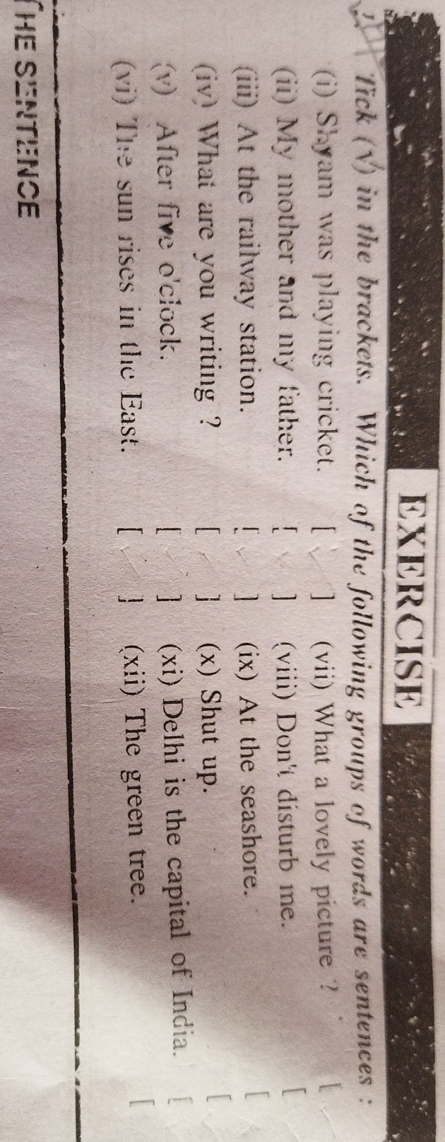Tick (V) in the brackets. Which of the | StudyX