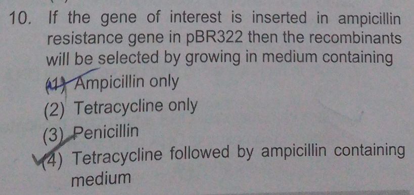 10. If the gene of interest is inserted in | StudyX