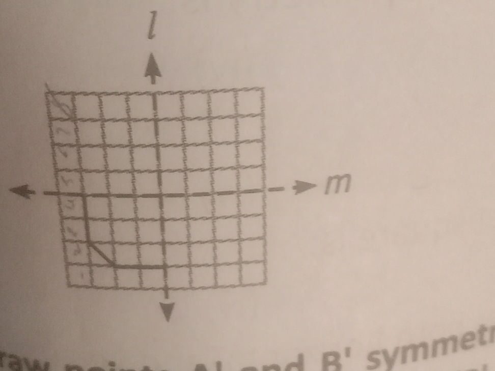 The image shows a grid with a line segment | StudyX