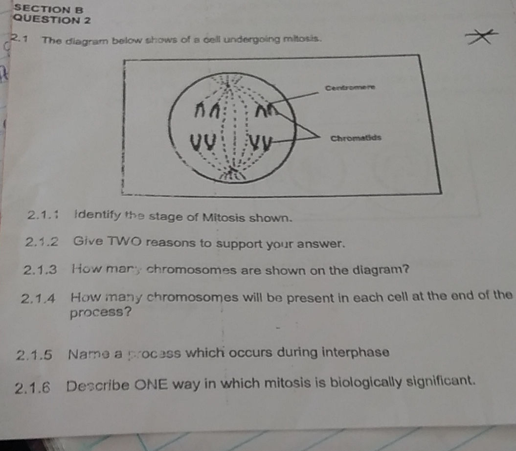 2.1 The diagram below shows of a cell | StudyX