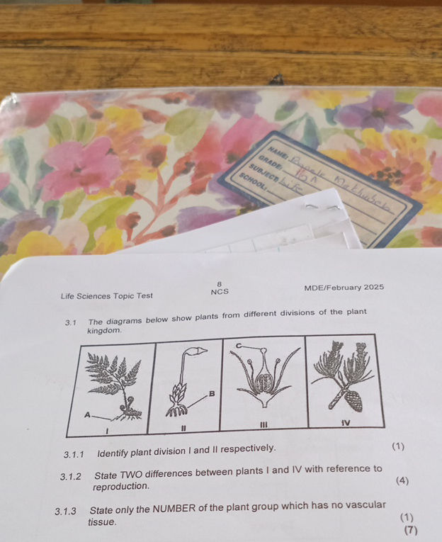 3.1 The diagrams below show plants from | StudyX