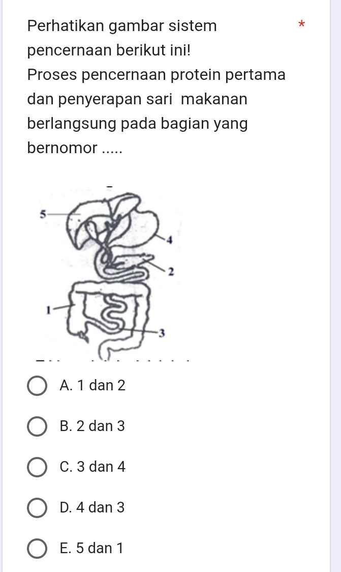 Perhatikan gambar sistem pencernaan berikut | StudyX