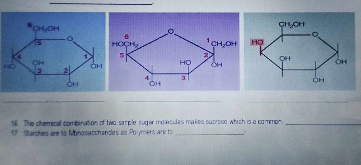 16. The chemical combination of two simple | StudyX
