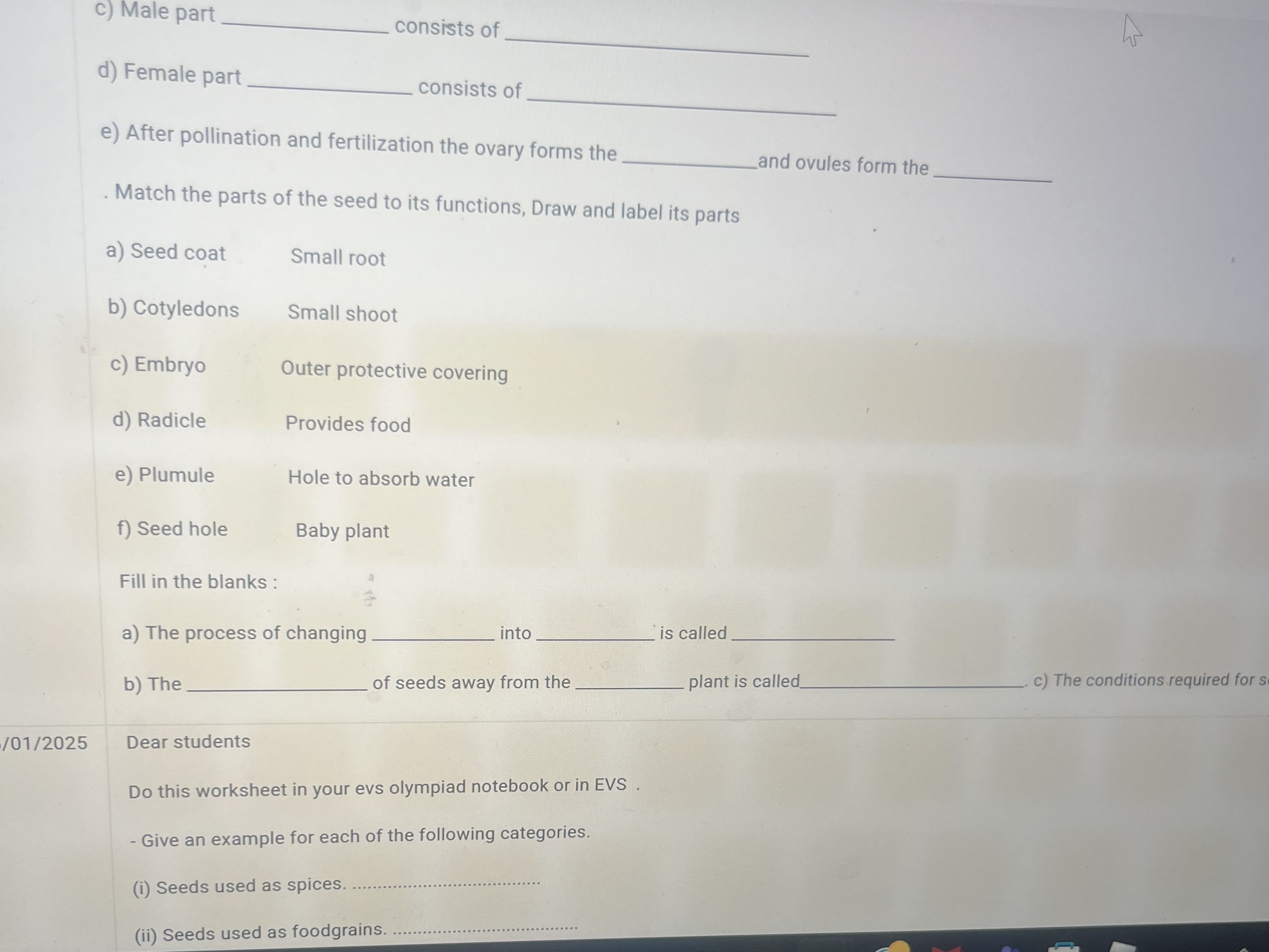 c) Male part ______ consists of ______ d) | StudyX