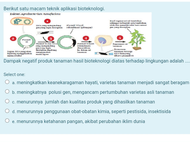 Berikut satu macam teknik aplikasi | StudyX