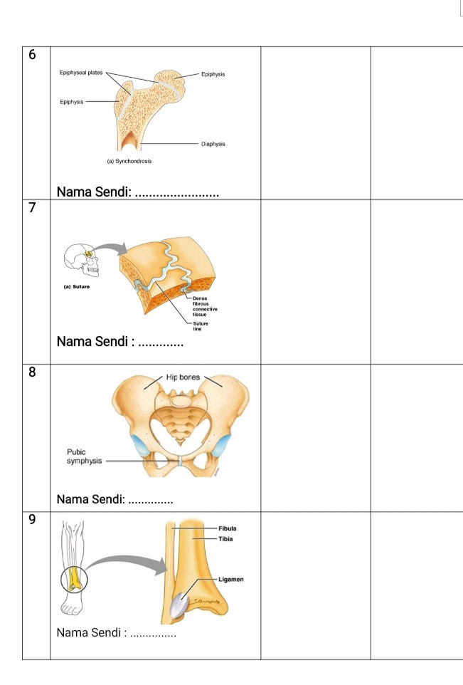 6 Nama Sendi: ........................ 7 | StudyX