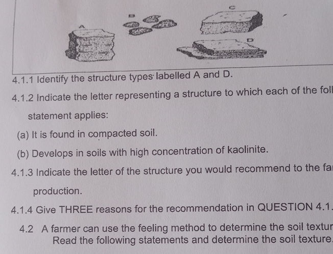 4.1.1 Identify the structure types labelled | StudyX