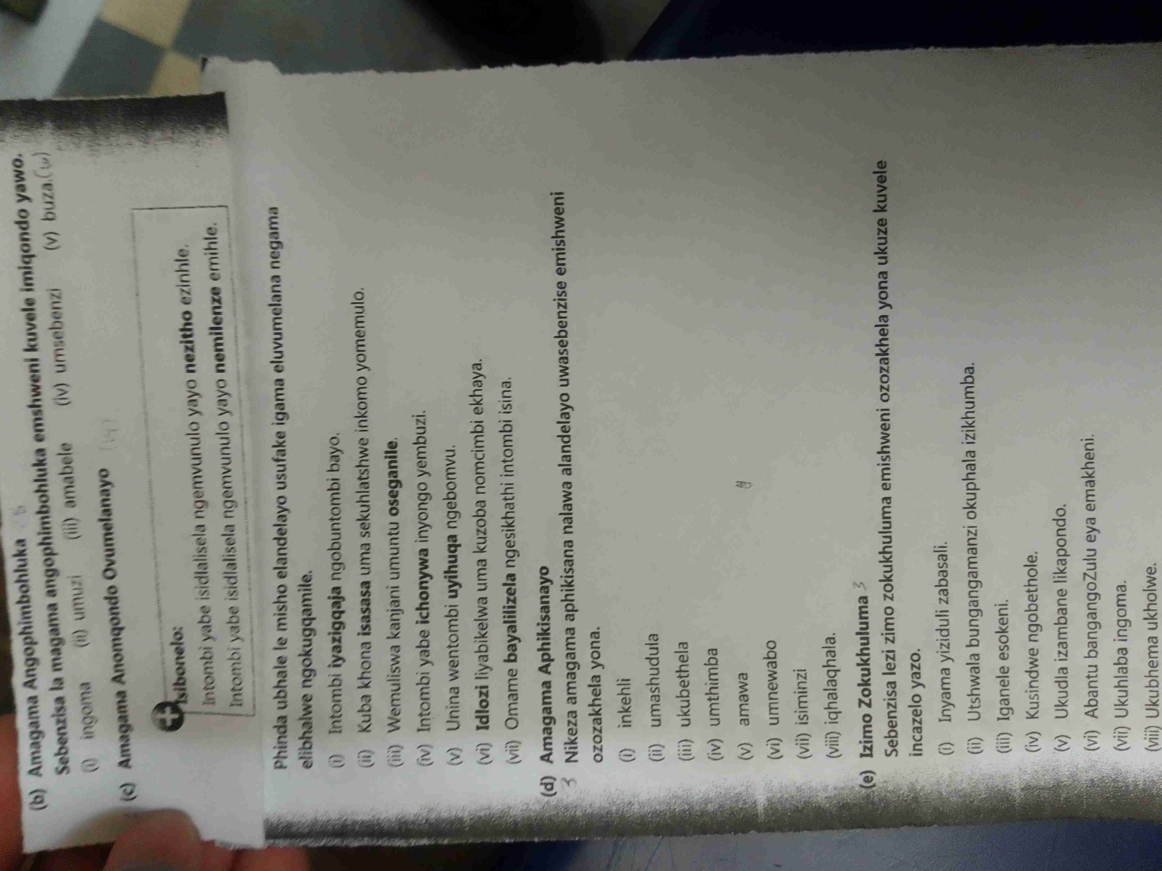 (b) Amagama Angophimbohluka Sebenzisa la | StudyX