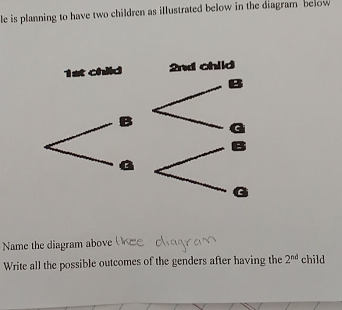 Name the diagram above tree diagram Write | StudyX