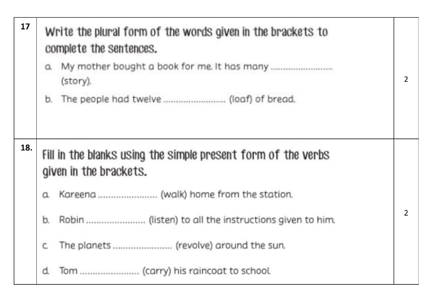 17. Write the plural form of the words given | StudyX
