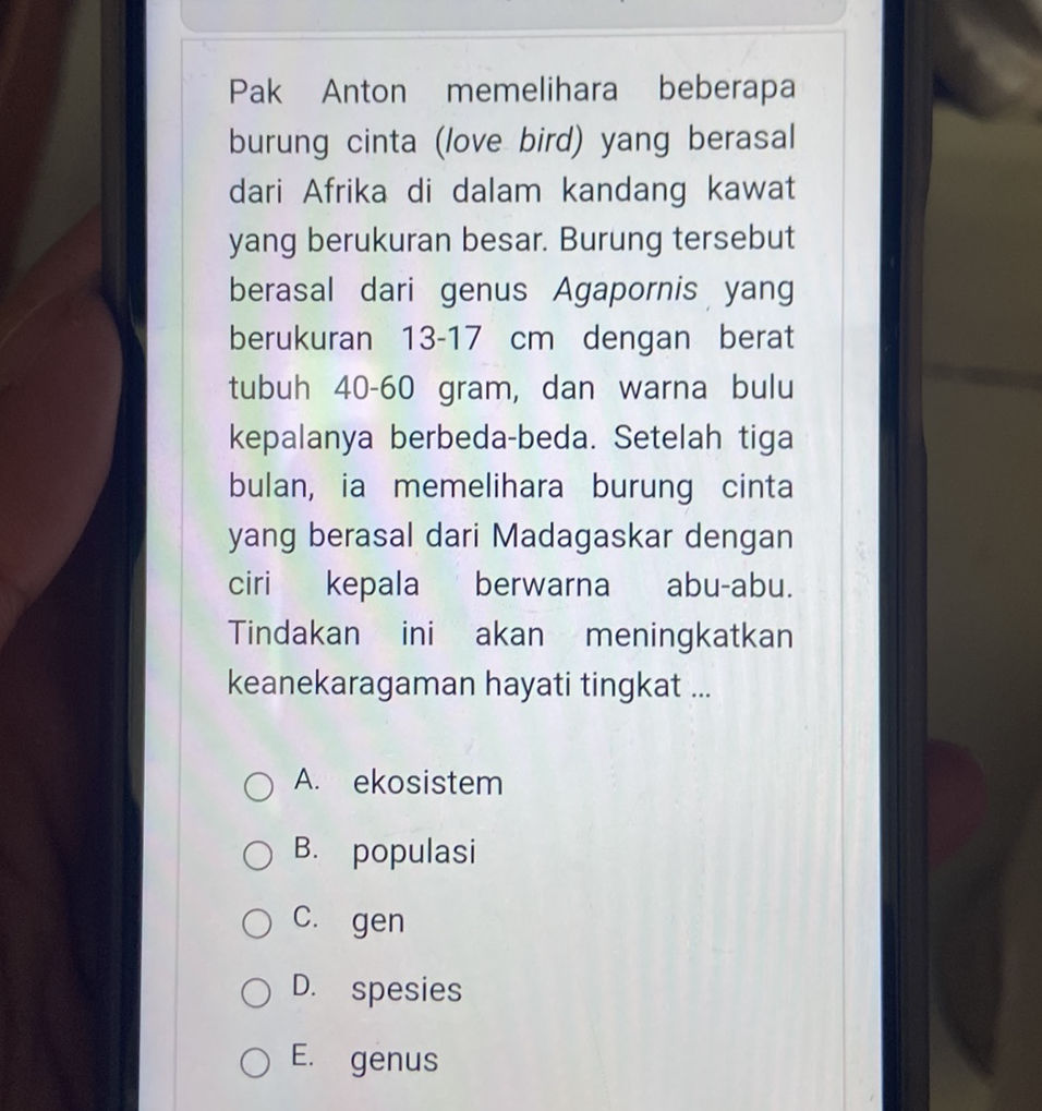 Pak Anton memelihara beberapa burung cinta | StudyX