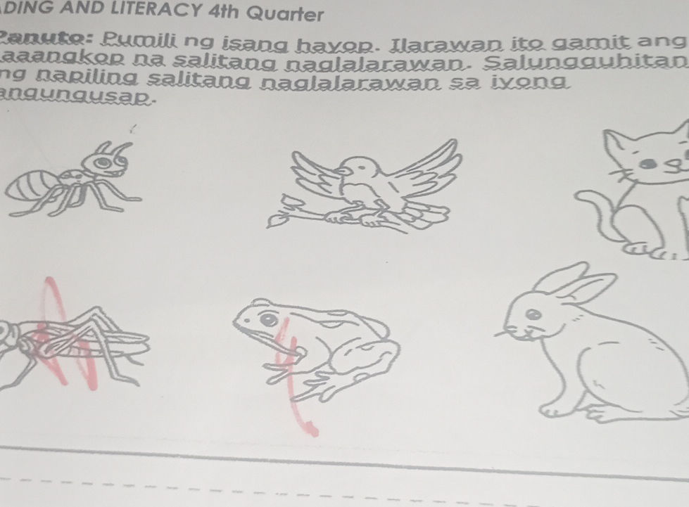 Panuto: Pumili ng isang hayop. Ilarawan ito | StudyX