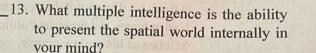 13. What multiple intelligence is the | StudyX
