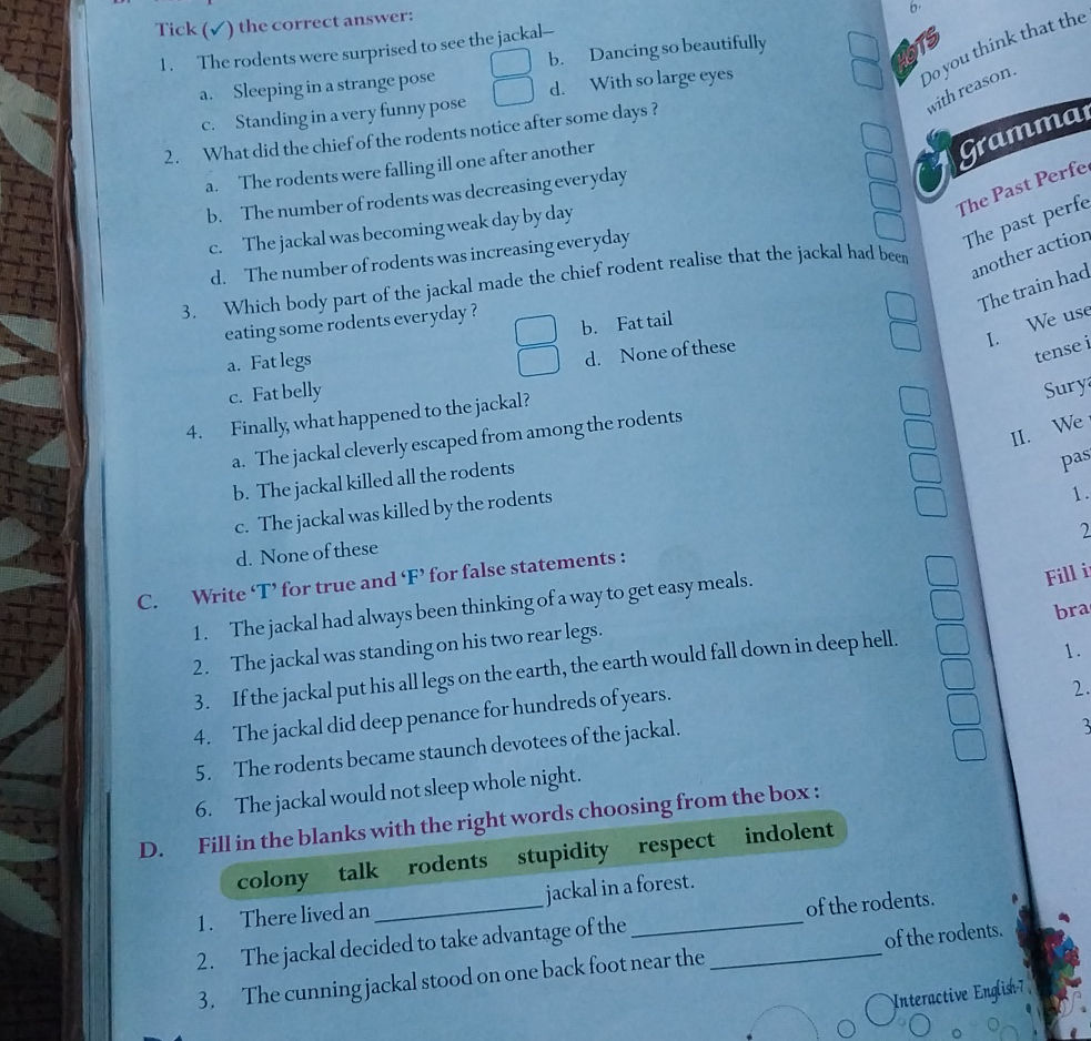 Tick ( ) the correct answer: 1. The rodents | StudyX