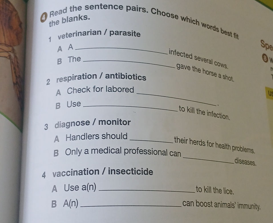 4 Read the sentence pairs. Choose which | StudyX