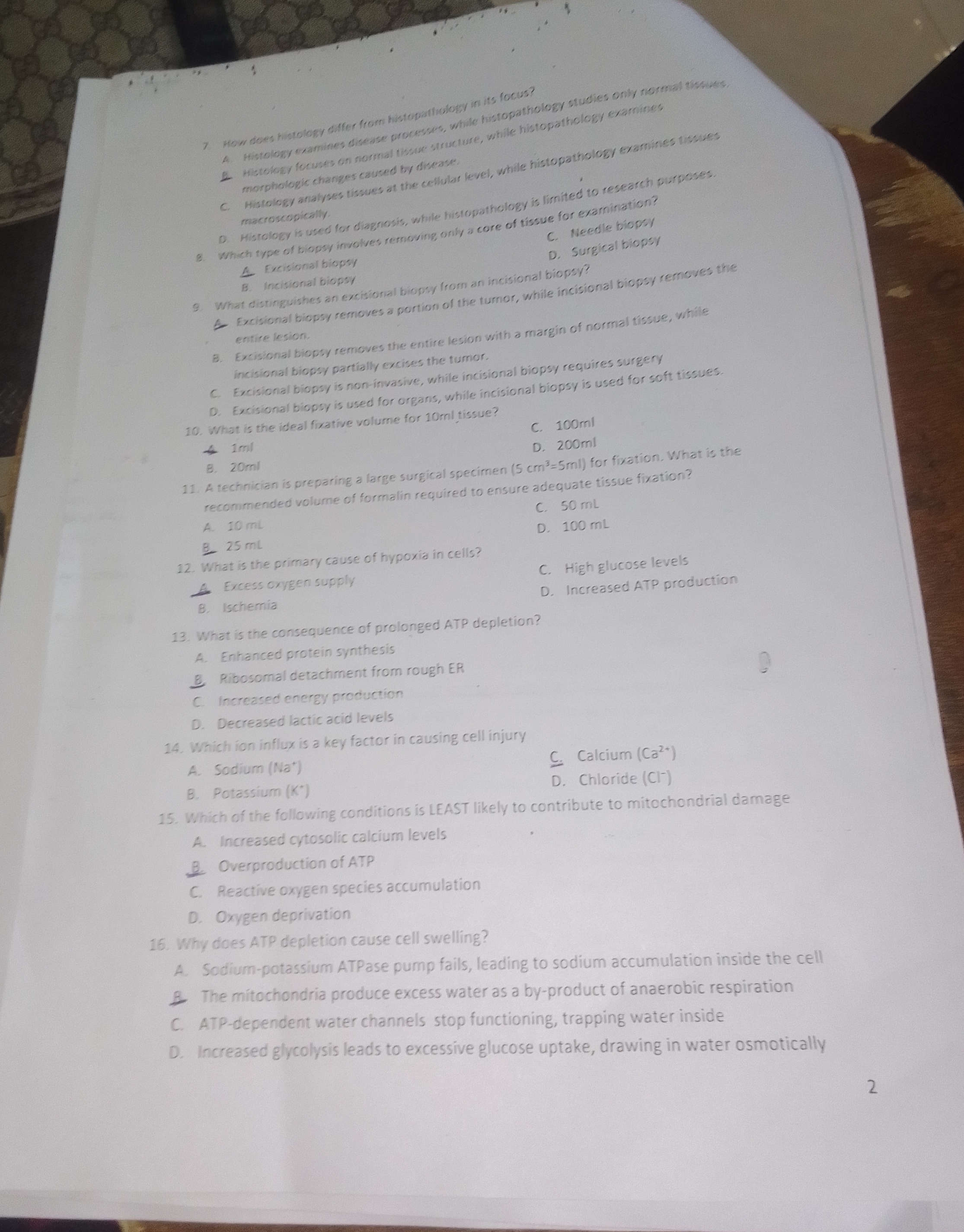 7. How does histology differ from | StudyX