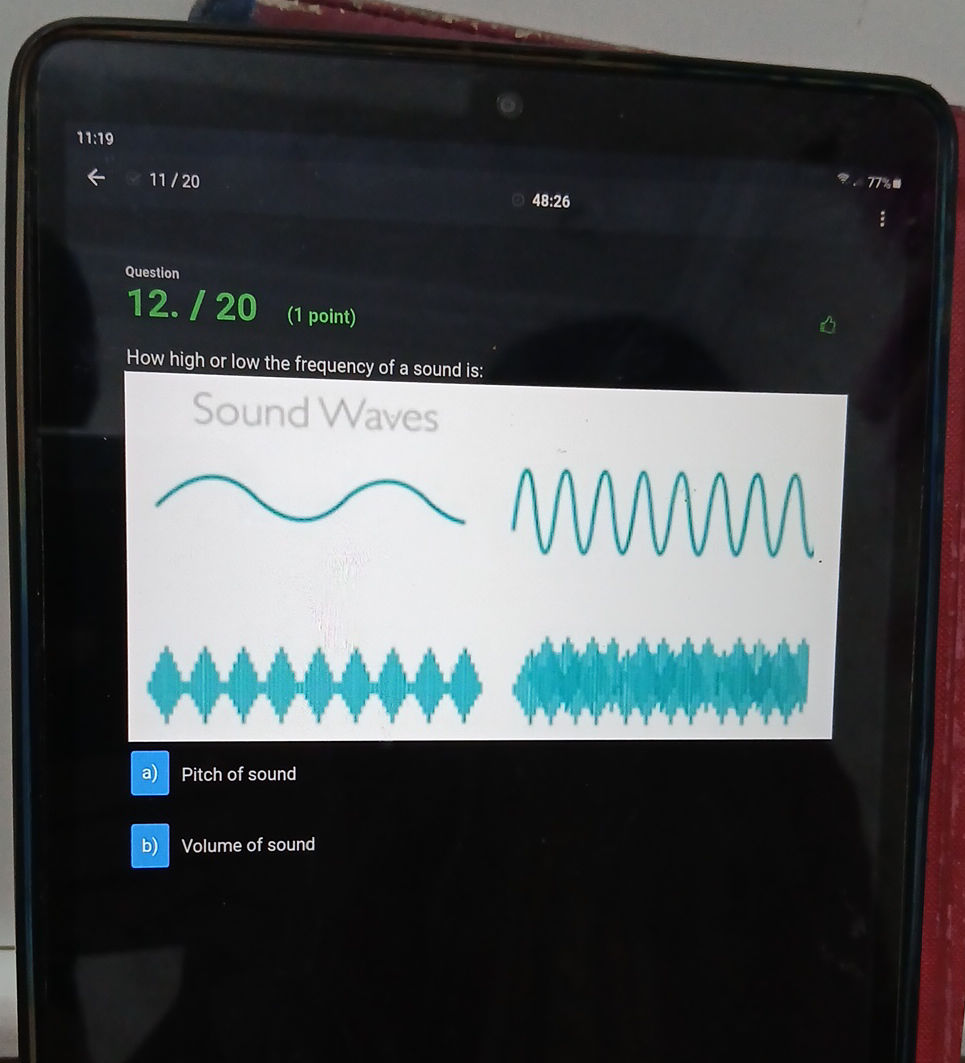 How high or low the frequency of a sound is: | StudyX