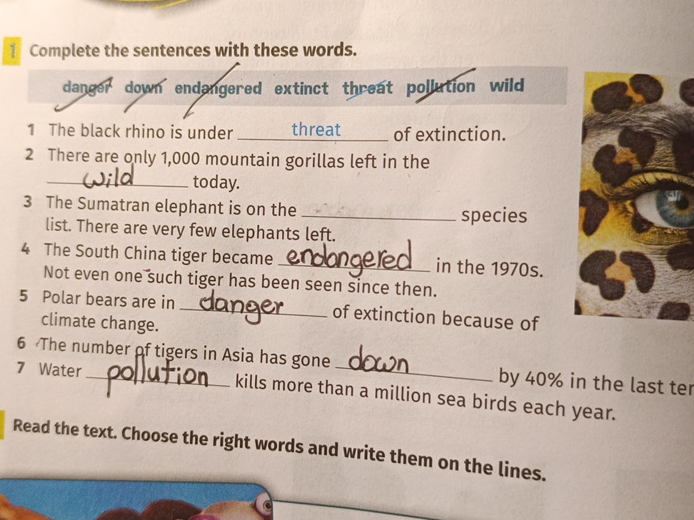 1 Complete the sentences with these words. | StudyX
