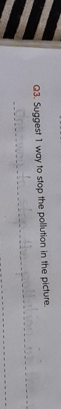 Q3. Suggest 1 way to stop the pollution in | StudyX