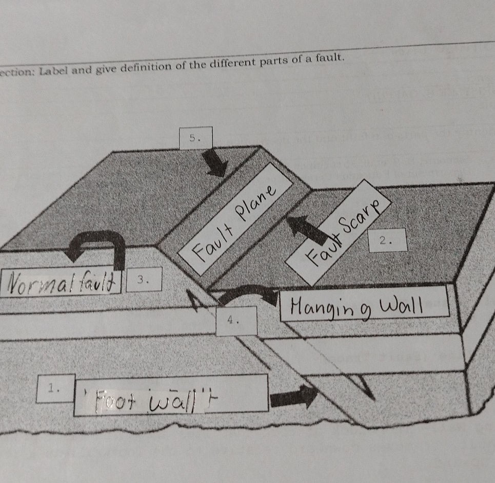 Label and give definition of the different | StudyX