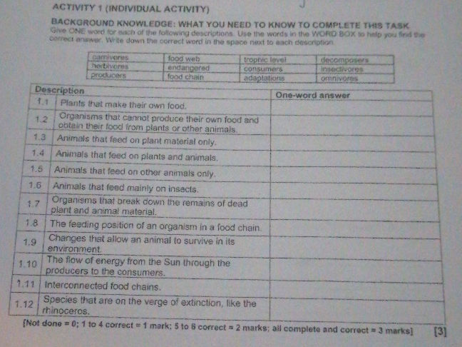 ## ACTIVITY 1 (INDIVIDUAL ACTIVITY) | StudyX