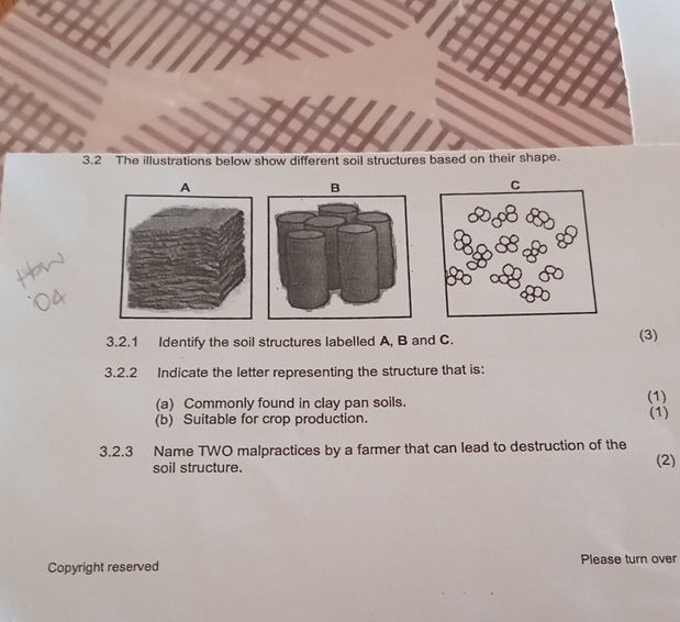 3.2 The illustrations below show different | StudyX