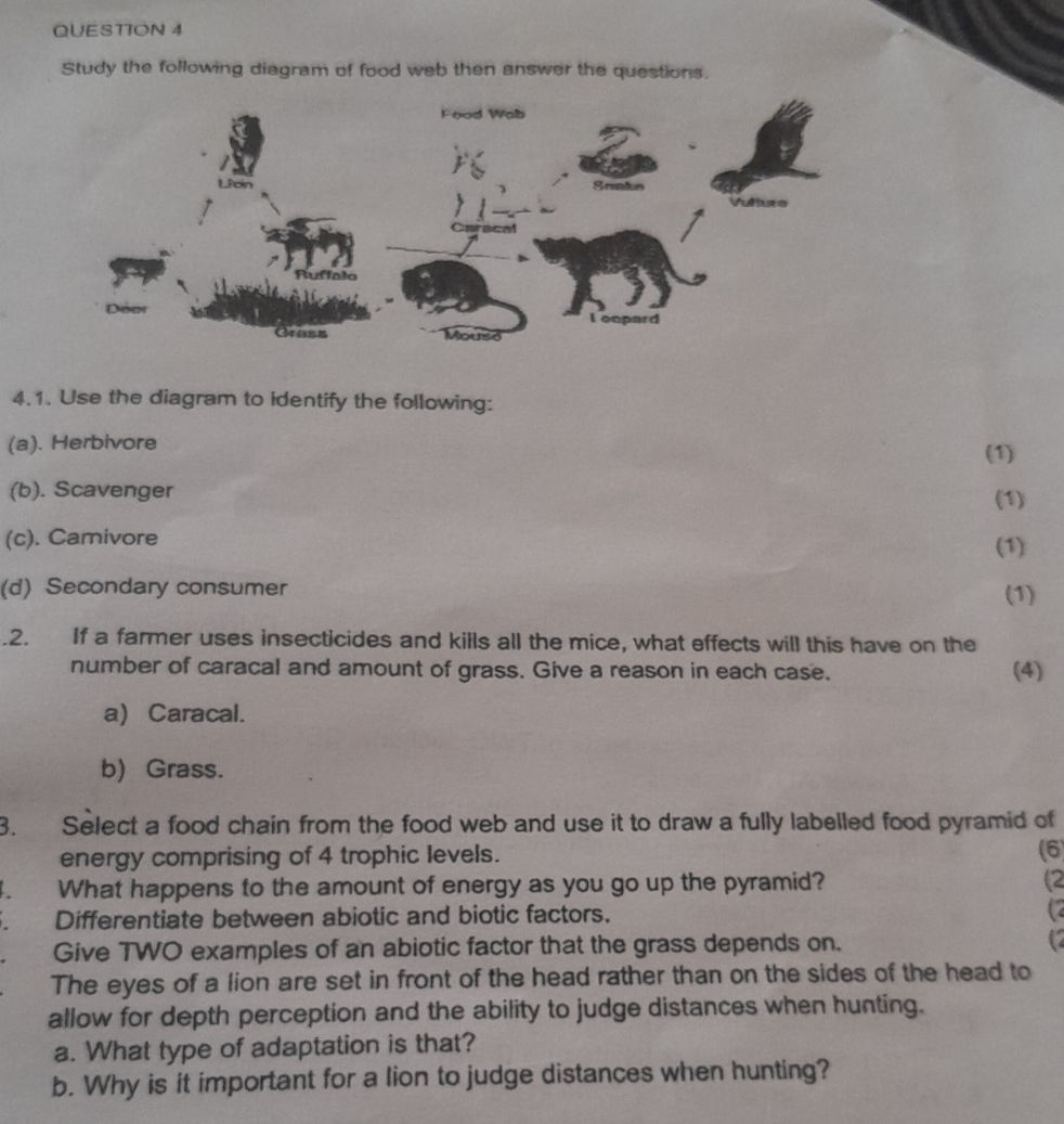 QUESTION 4 Study the following diagram of | StudyX