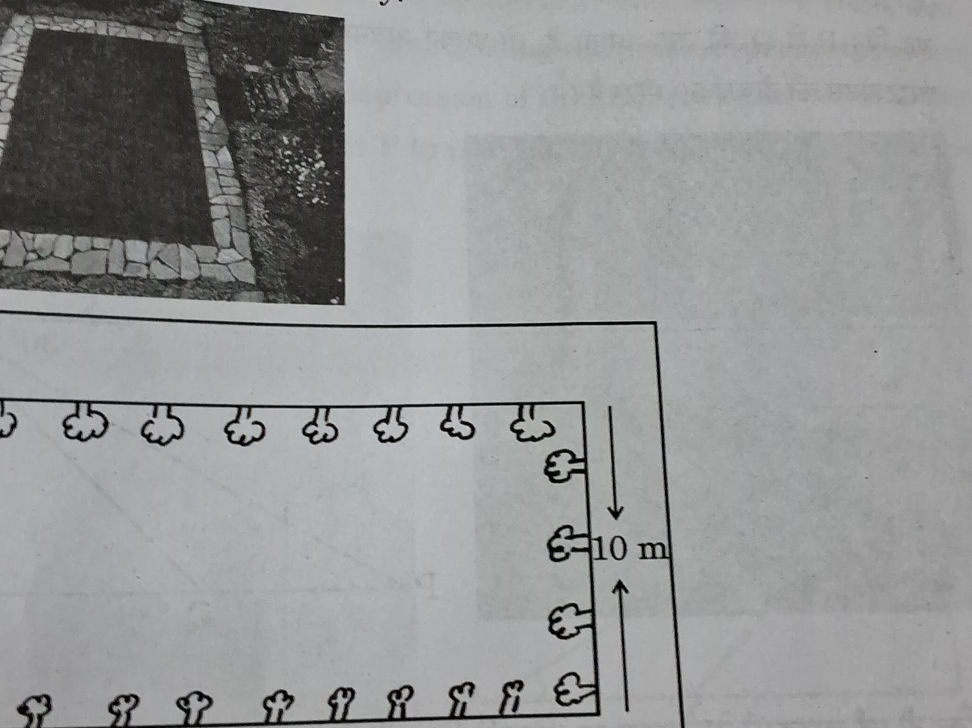 The image shows a rectangular garden with a | StudyX
