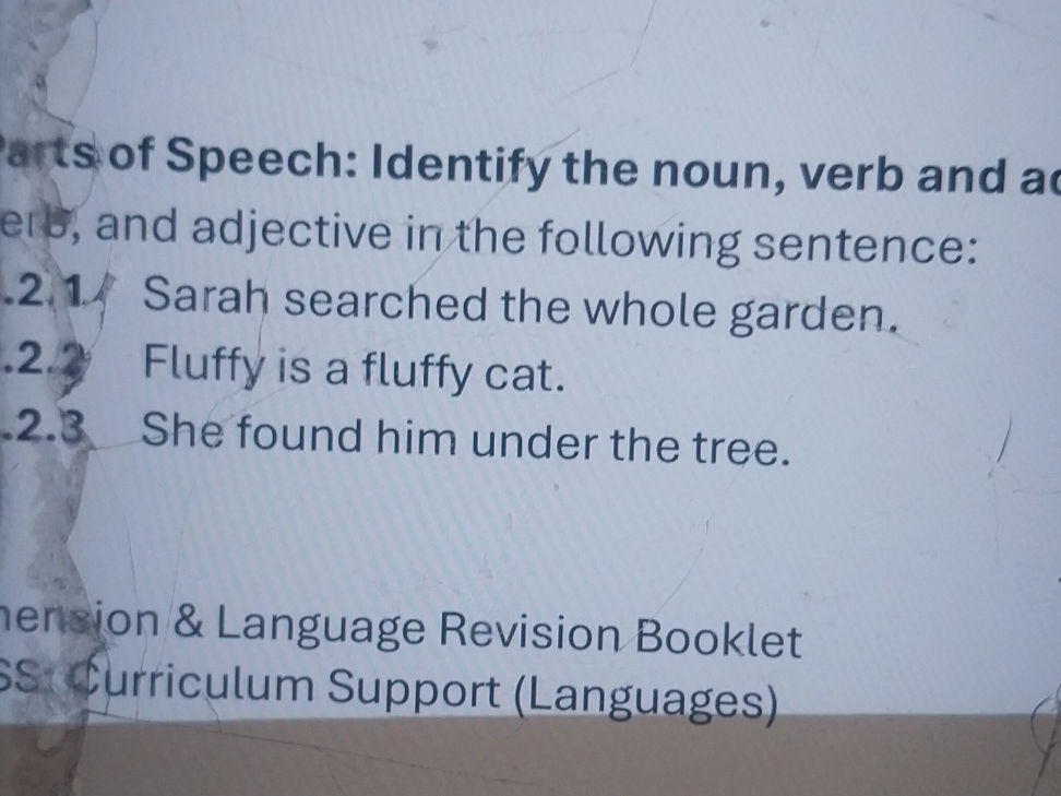 Parts of Speech: Identify the noun, verb and | StudyX