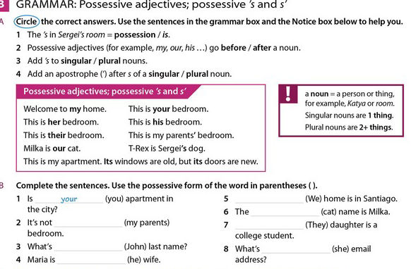 A GRAMMAR: Possessive adjectives; possessive | StudyX