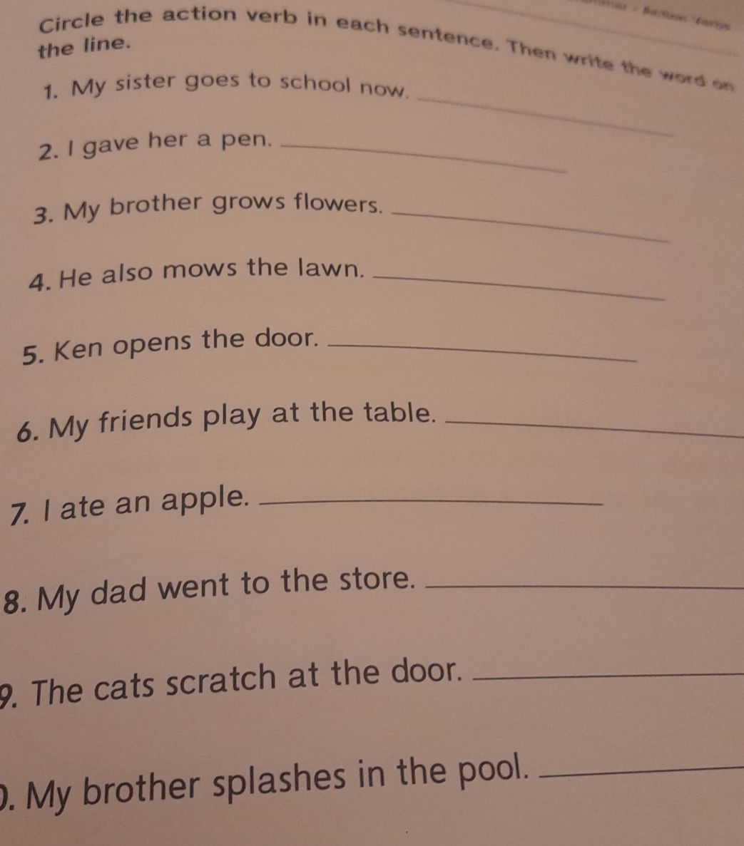 Circle the action verb in each sentence. | StudyX