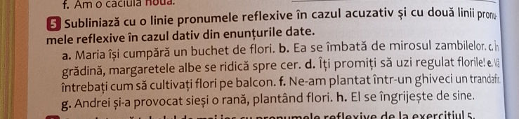 5 Subliniază cu o linie pronumele reflexive | StudyX