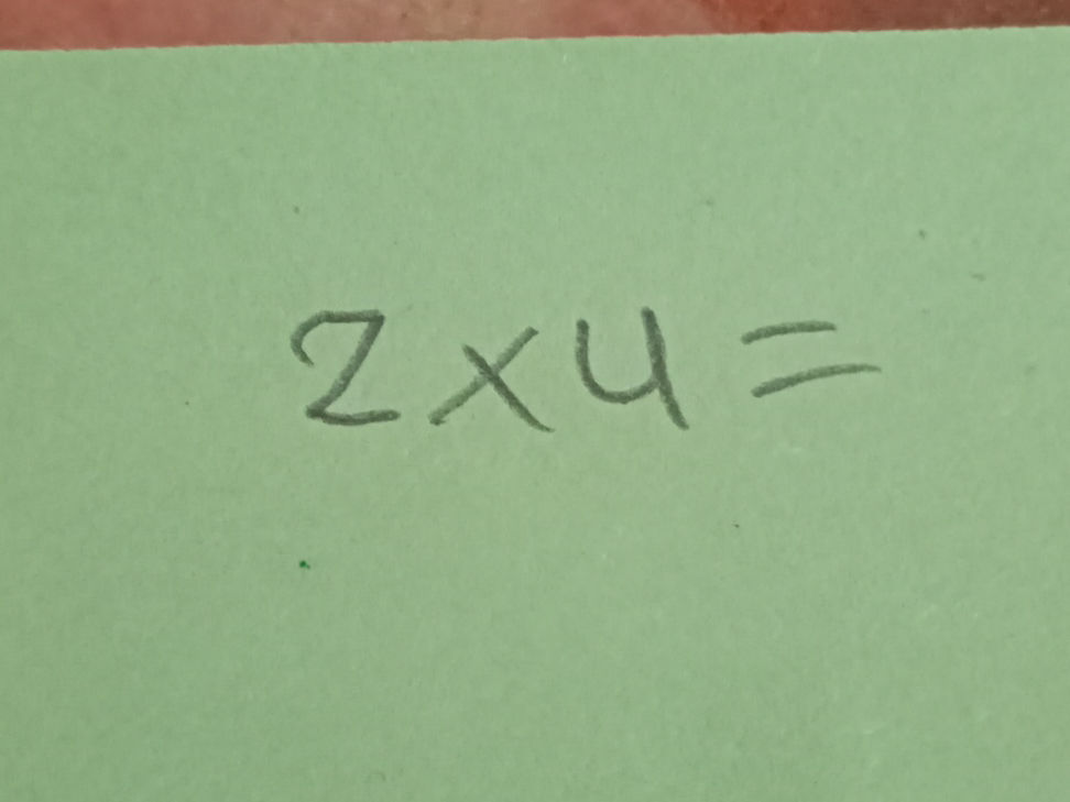 Multiplication: 2 times 4 | StudyX
