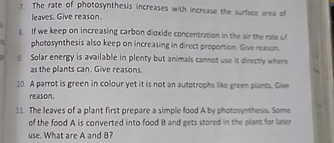 7. The rate of photosynthesis increases with | StudyX