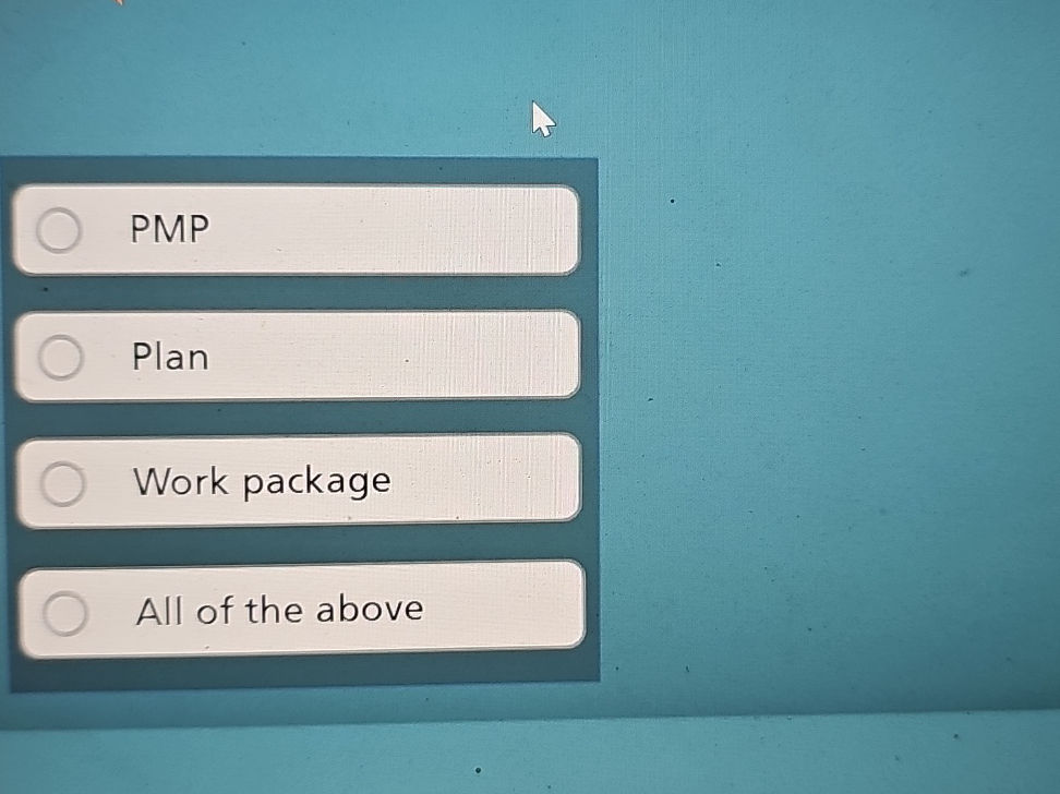 PMP Plan Work package All of the above | StudyX