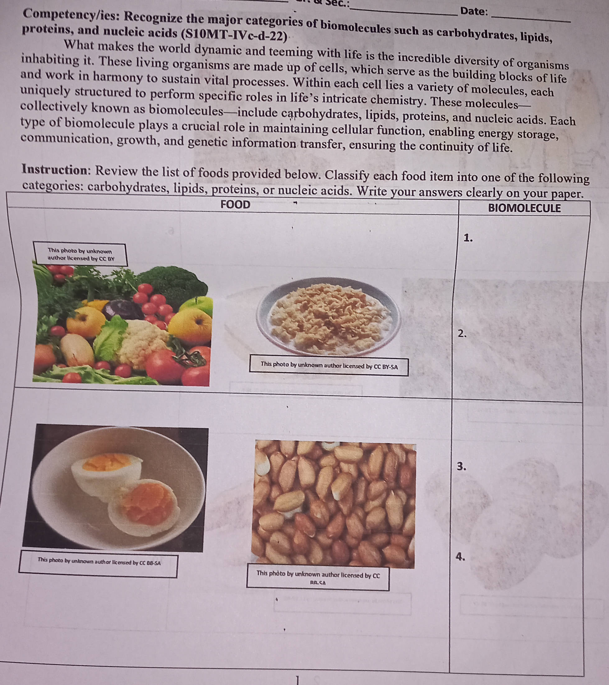 Instruction: Review the list of foods | StudyX