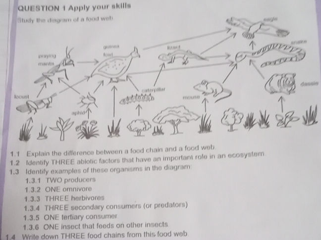 QUESTION 1 Apply your skills Study the