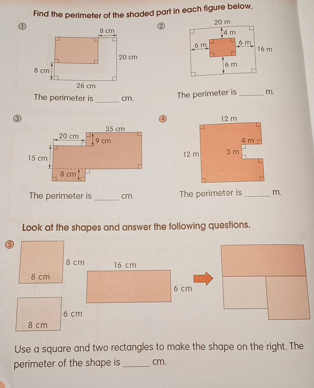 Find the perimeter of the shaded part in | StudyX