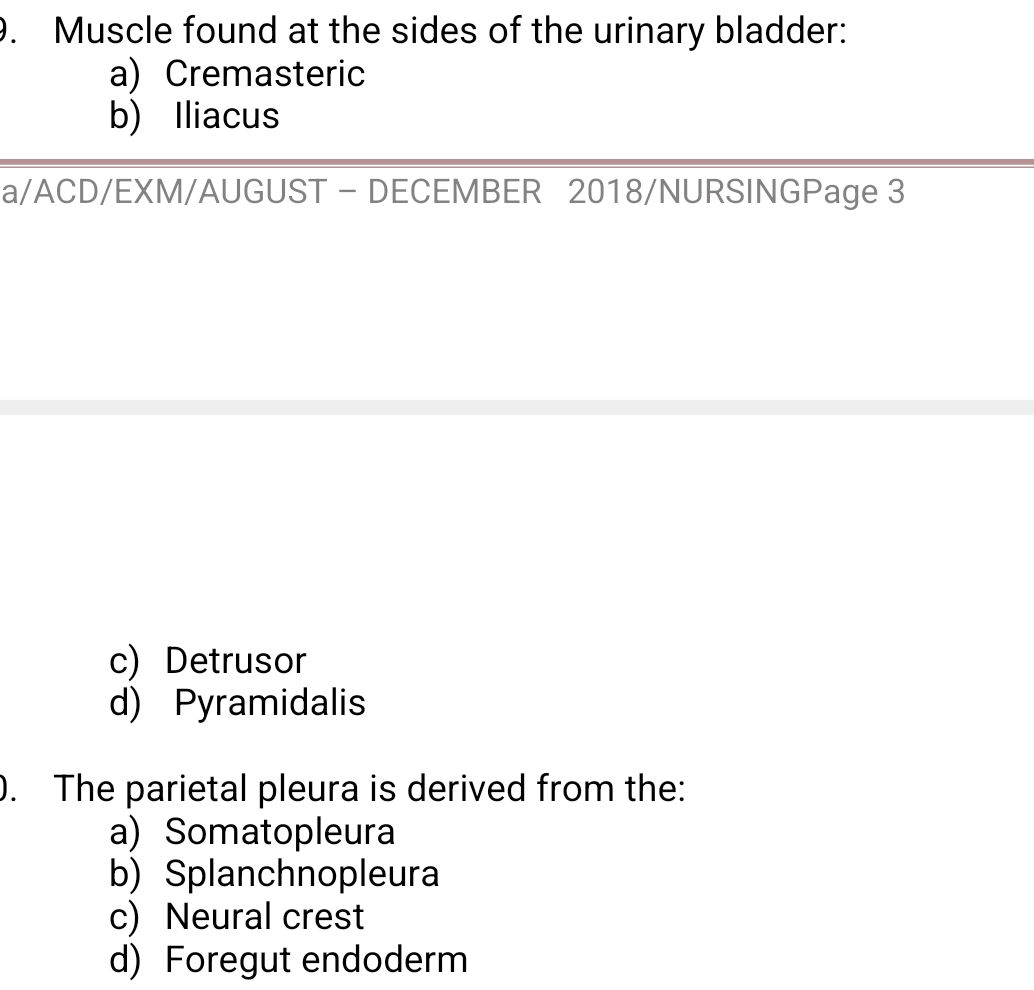 9. Muscle found at the sides of the urinary | StudyX