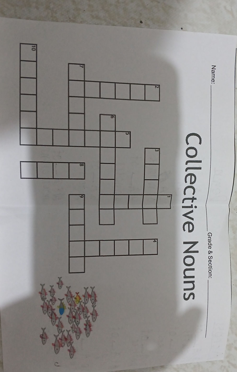 Crossword puzzle about collective nouns. The | StudyX