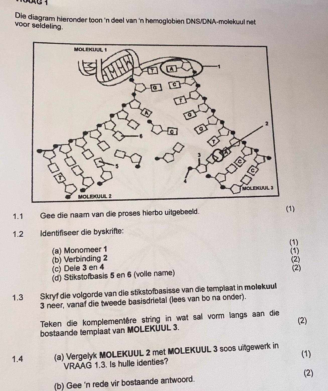 1.1 Gee die naam van die proses hierbo | StudyX