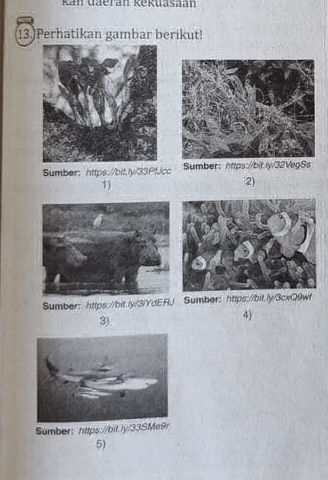 13. Perhatikan gambar berikut! 1) 2) 3) 4) | StudyX