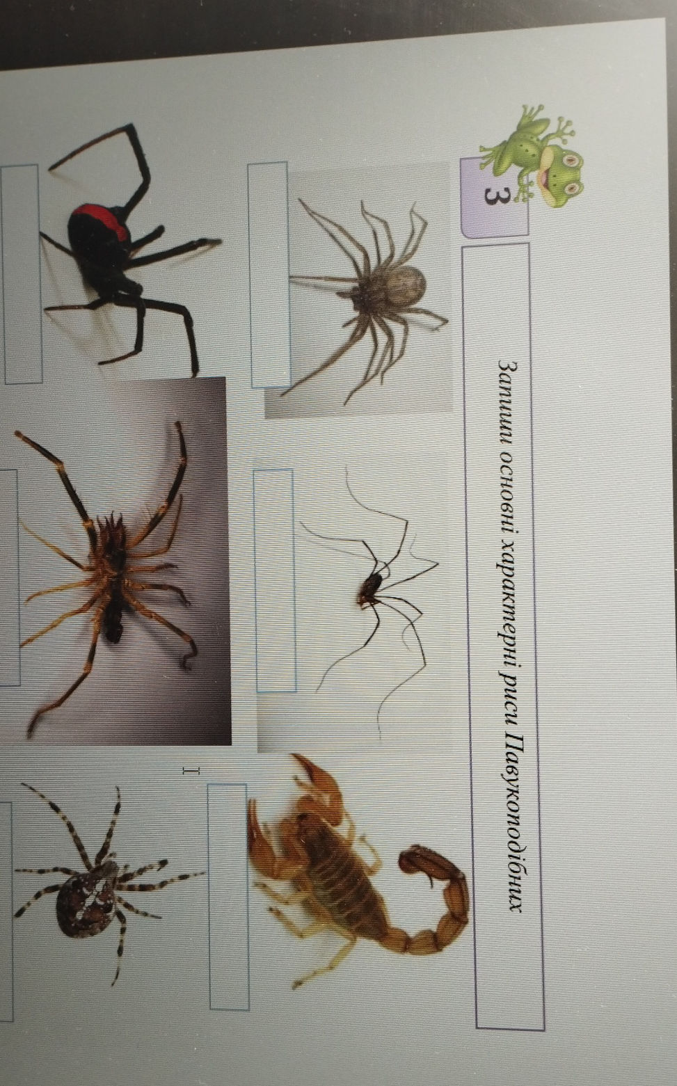 The image shows different types of | StudyX