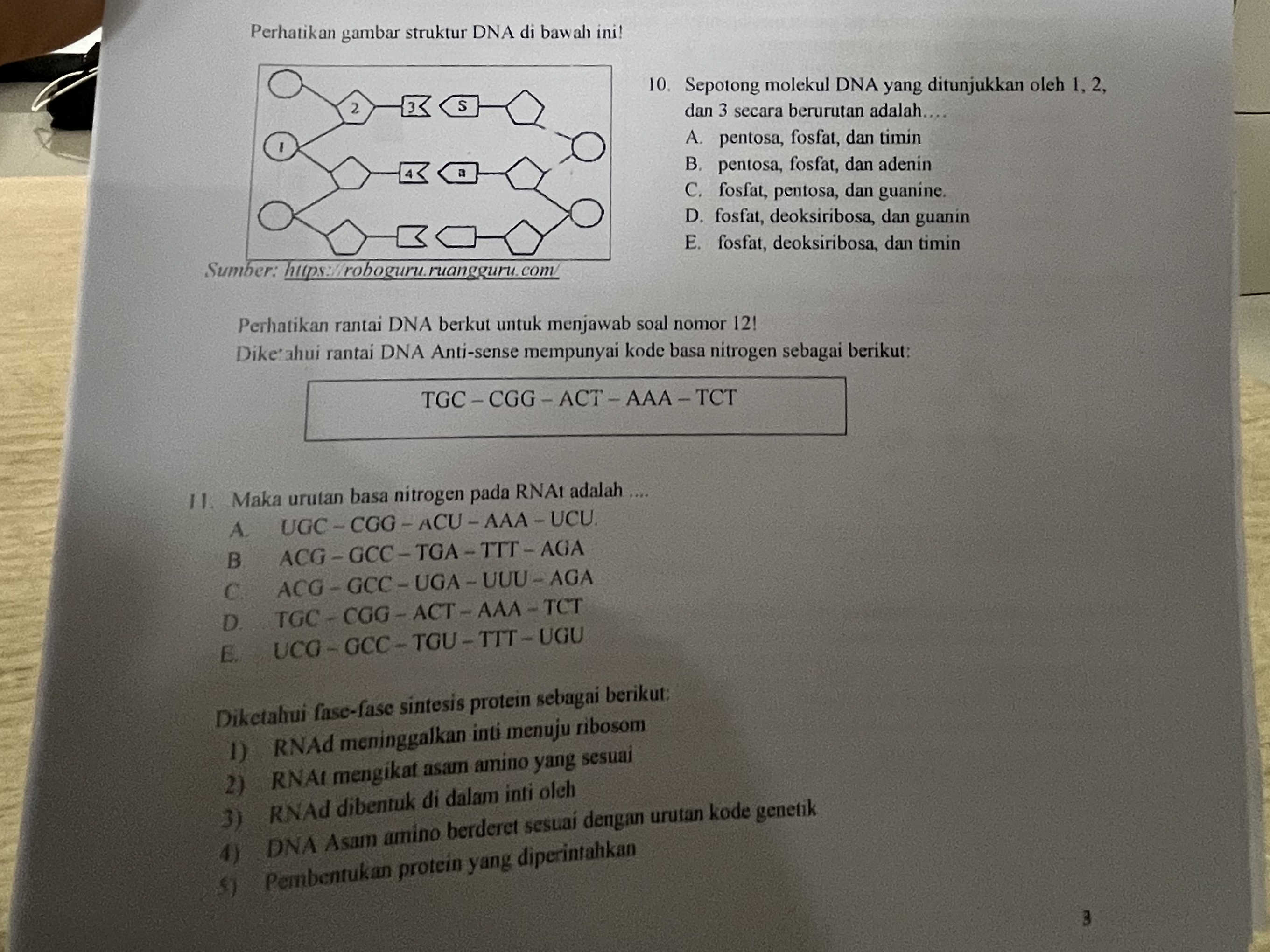 10. Sepotong molekul DNA yang ditunjukkan | StudyX